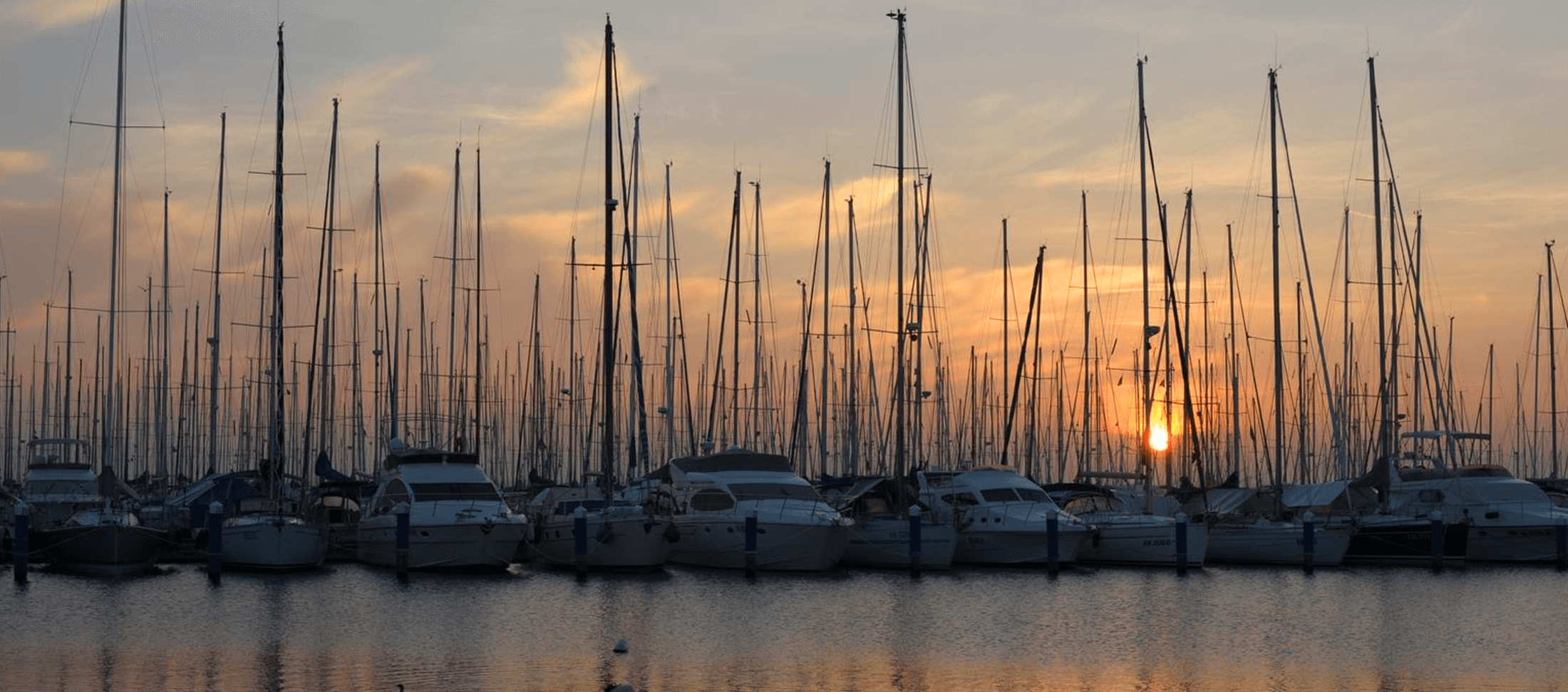 Marina di Ravenna: a city to discover